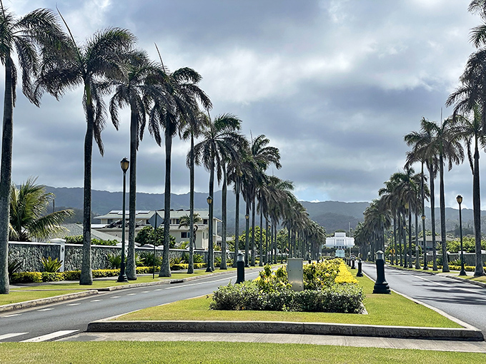 Palm-lined perfection! Laʻie's royal road marches toward those misty mountains like a tropical version of the yellow brick road.