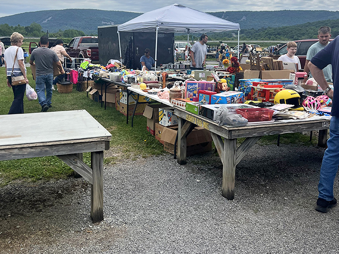 Tables loaded with colorful toys and household goods create a bargain hunter's playground at Leighty's. The mountain backdrop adds natural majesty to this outdoor treasure hunt.