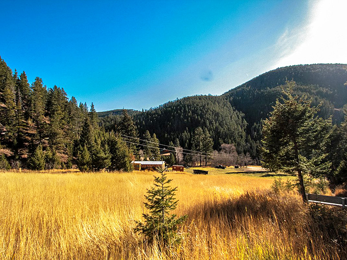 Golden fields meet mountain majesty in Lewistown, where your retirement dreams won't require a mountain of savings.