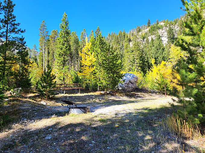 Fall colors transform Lost Creek State Park into a golden paradise, with western larch trees showing off their autumn splendor.