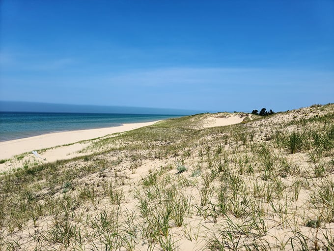 Fifty shades of blue meet golden sand at Ludington's pristine shoreline, where dune grass dances in the Lake Michigan breeze.