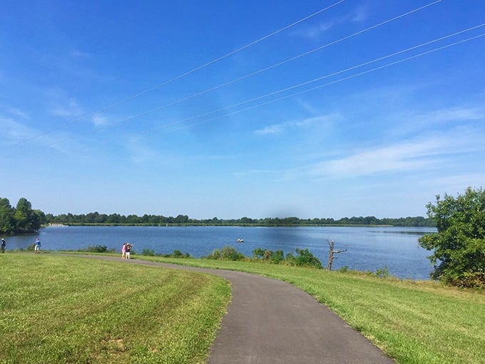 The kind of town park where feeding ducks becomes a legitimate social activity and nobody thinks that's strange.