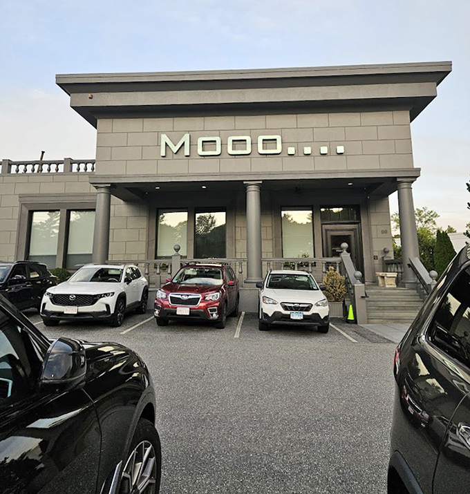 Mooo.... Burlington's modern stone fa&ccedil;ade means business &ndash; serious steak business with a playful name.