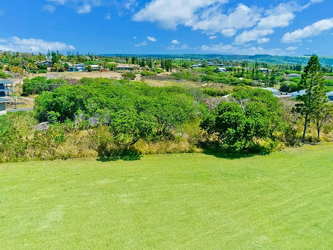 Rolling hills and open spaces where your retirement dollars stretch as far as the horizon. A peaceful community nestled in greenery that doesn't care about your stock portfolio.