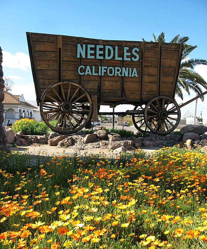 Desert blooms frame this classic wagon sign, proving beauty flourishes even in California's most affordable corners.