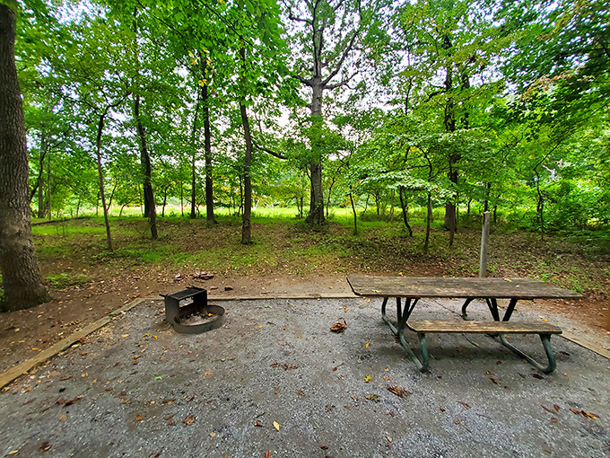 Patapsco Valley's picnic area beckons with its emerald carpet. The perfect spot to spread a blanket and forget about Monday's meeting.