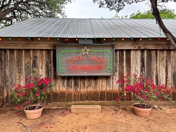 Rustic weathered wood and twinkling lights set the stage for mesquite-grilled perfection at this authentic ranch.