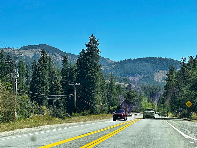 Fall colors paint Priest River in gold, while your retirement account stays firmly in the black thanks to affordable living.