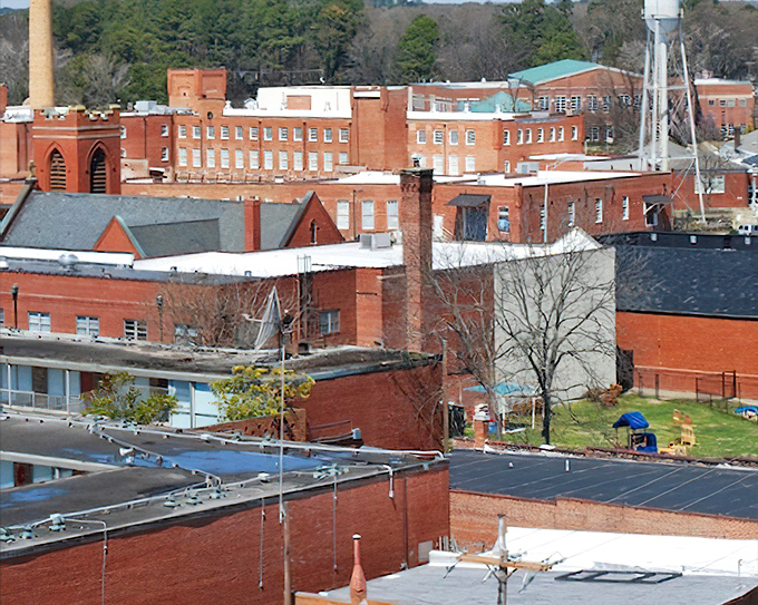 The golden hour bathes Rocky Mount's Main Street in possibility. Those awnings have sheltered generations of dreamers.