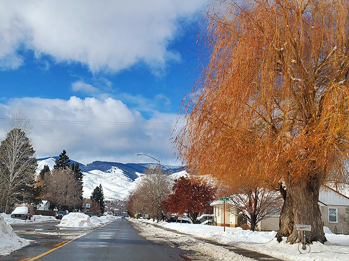 Winter in Salmon paints streets with snow and skies with possibility. Those modest home prices look even better with this million-dollar mountain backdrop.