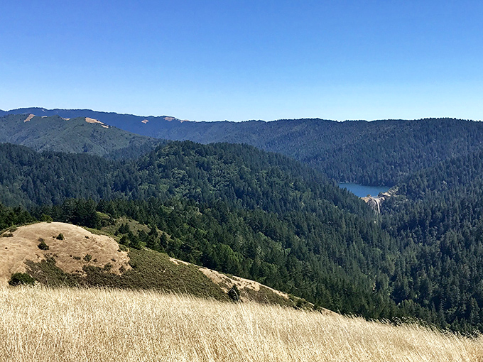 This bridge through emerald canopy leads somewhere magical, where creek sounds replace car horns completely.
