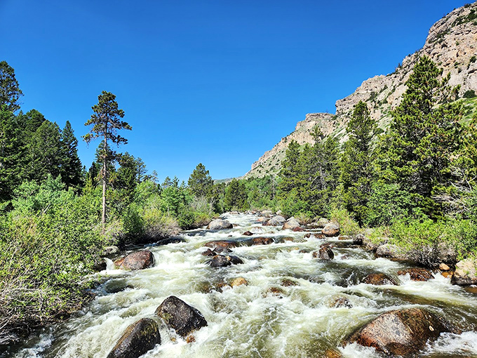 Rocky canyon walls and rushing water create nature's own symphony hall with perfect acoustic engineering.