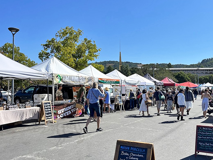 Marin's Sunday market unfolds beneath a dramatic sky, where shoppers hunt for culinary inspiration.