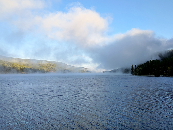 Swan Lake's misty morning magic &ndash; where water and sky merge in a dance that's been perfecting for millennia.