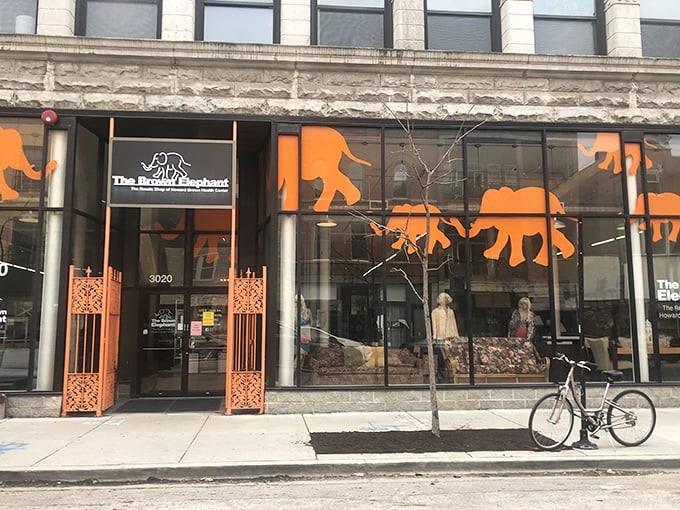 The Brown Elephant's orange silhouettes promise a shopping safari where fashion finds roam free.