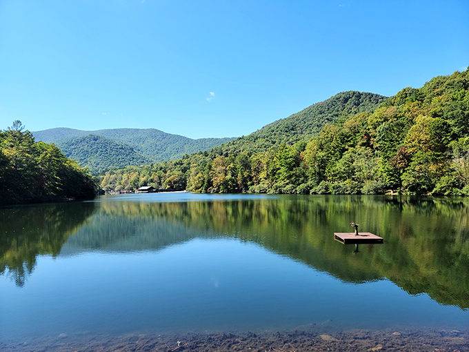 Lake Trahlyta at Vogel State Park offers a mirror to the mountains, reflecting Georgia's natural beauty in perfect stillness.
