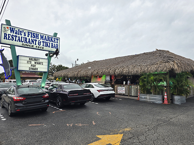 Walt's classic fish market aesthetic screams authentic Florida seafood from a more honest era.