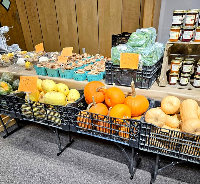 Worthington's market displays make you question everything you thought you knew about squash. Those pumpkins are practically posing for their Instagram moment!