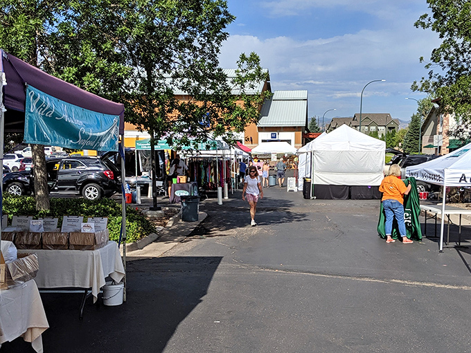Outdoor treasure hunting at its finest! This parking lot transforms into a sophisticated shopper's paradise under Colorado's famous blue skies.