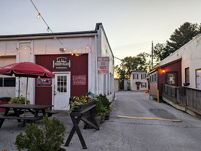 The picnic tables outside Andy Nelson's aren't just seating&mdash;they're front-row tickets to a smoky, saucy performance.