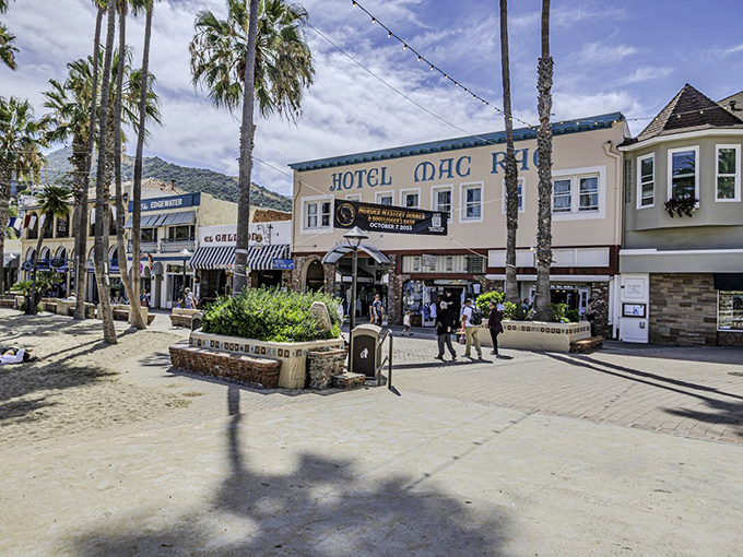 Palm trees stand guard along Avalon's waterfront promenade, where island life moves at the perfect pace&mdash;somewhere between slow and slower.