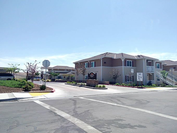 These quiet residential streets prove that the American dream sometimes looks like rainbow-painted skies over modest homes.