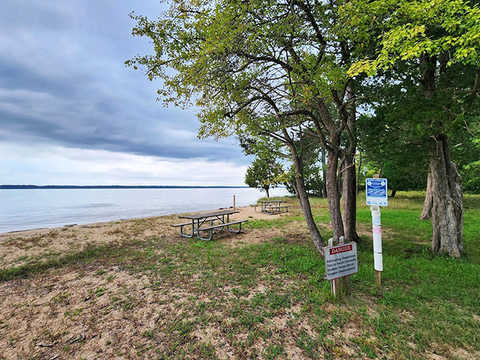 Picnic paradise! Caledon's shoreline offers front-row seats to nature's greatest show&mdash;water, sky, and the occasional osprey dive-bomb.