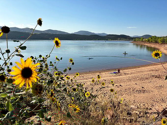 Sunflowers, sand, and sparkling water—Carter Lake serves up the perfect recipe for summer memories that last a lifetime.