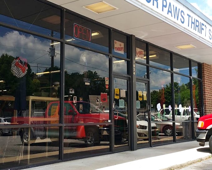 Behind those reflective windows, pet lovers find treasures while supporting animal rescue. Shopping with purpose!