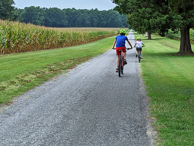 Fall's fashion show! These trees dress in their autumn best, making even the historic home jealous.