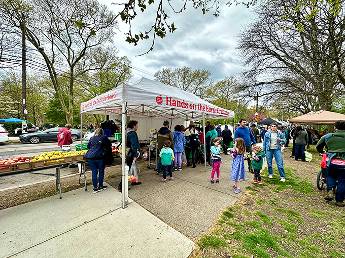 Fresh vegetables displayed like artwork remind you that Mother Nature is the ultimate creative genius.