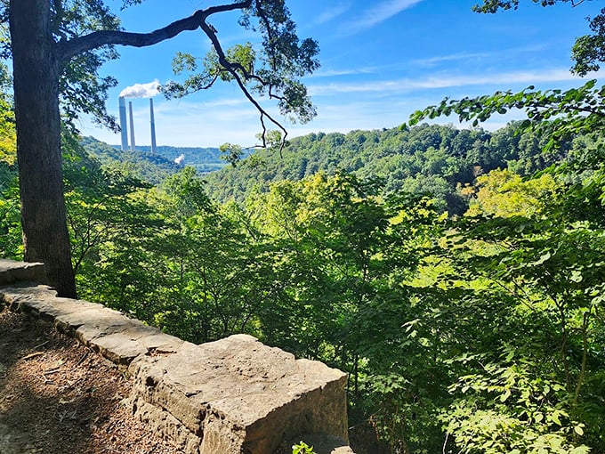 From Clifty Falls, visitors can take in sweeping views of the forested Ohio River Valley &mdash; where nature&rsquo;s tranquility meets the distant hum of industry.