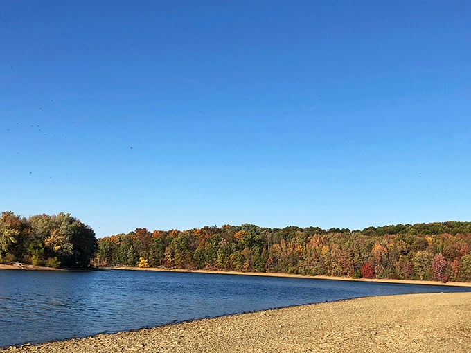 Codorus sunsets transform the ordinary into extraordinary. The kind of view that makes you pull over just to stare.