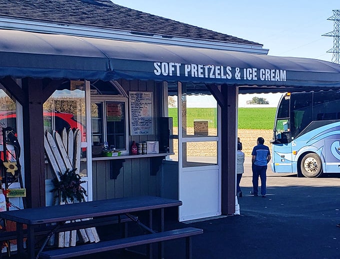 The simple outdoor seating area is where pretzel dreams and ice cream wishes come true on summer afternoons.
