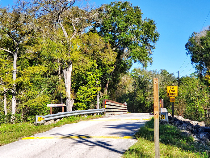 "One Lane Bridge" – both a road sign and a perfect metaphor for small-town living's simpler, slower pleasures.