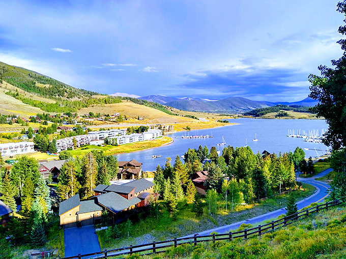 A patchwork of golden hills, evergreen forests, and blue water creates a landscape that Bob Ross would've called "happy little everything."