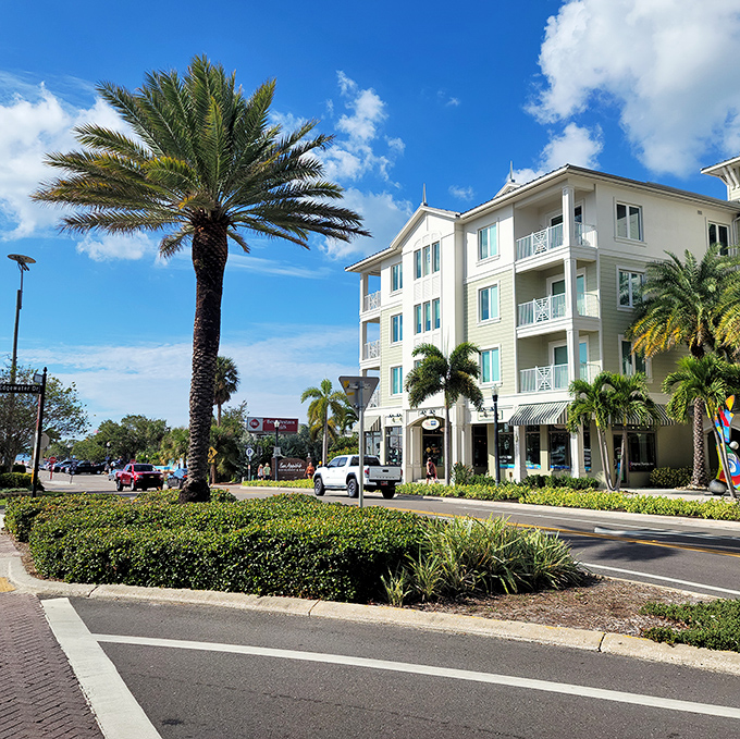 Dunedin&rsquo;s sunny streets shine with coastal Florida charm, where palm trees, bright buildings, and relaxed vibes create the perfect day out.