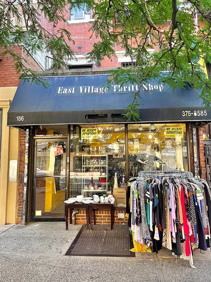Beneath that classic blue awning lies a world of eclectic treasures that perfectly capture the East Village's creative spirit.