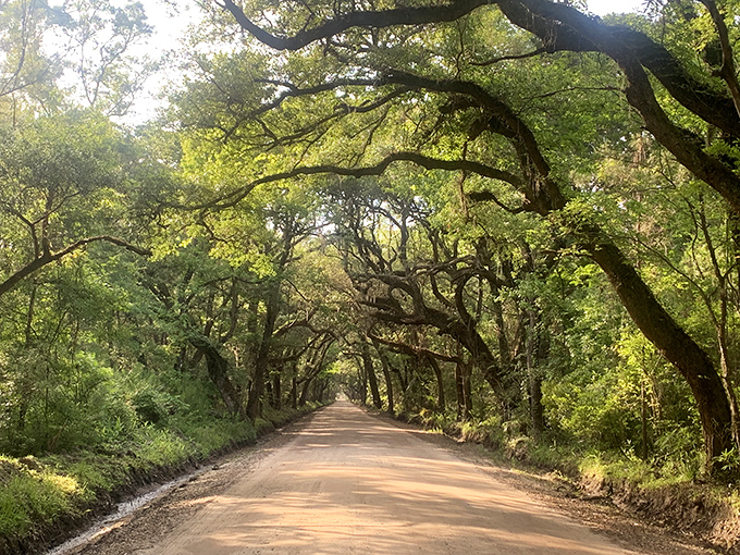 This oak-canopied dirt road on Edisto Island isn't just a path&mdash;it's a time machine to a more peaceful era.