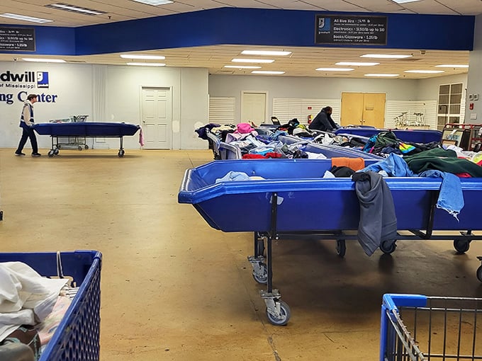 Blue bins of possibility&mdash;Goodwill's by-the-pound system turns shopping into an archaeological dig for fashion gold!