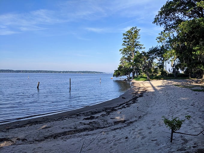 Beach day without the crowds! Goose Creek's sandy shores offer all the relaxation without someone's radio blasting "Margaritaville" on repeat.