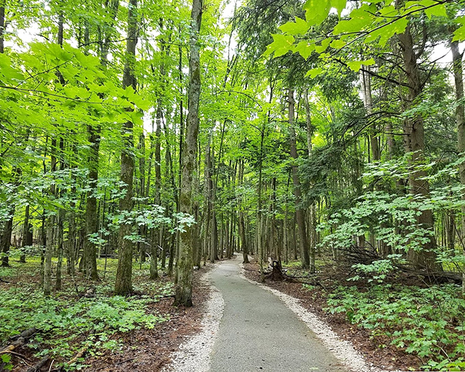 This trail at Hartwick looks like the entrance to a fairy tale. Just watch out for wolves offering apples! 
