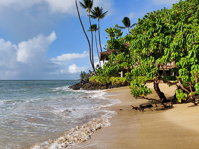 Palm trees stand guard at Honokōwai while gentle waves create a soothing soundtrack. This is what they mean by "island time"&mdash;when watches become purely decorative.