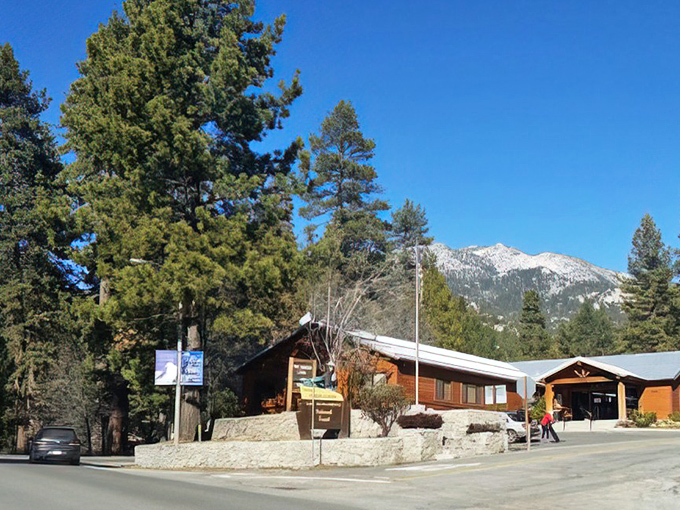 In Idyllwild, even the mailboxes have personality. This rustic cabin-shaped one probably holds more interesting mail than your bills at home.