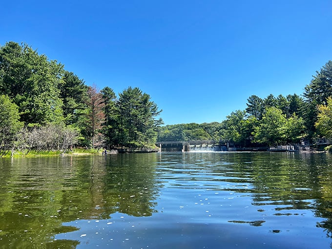 Hamlin Lake's mirror-like surface reflects a perfect Michigan summer day. Even the fish here seem to be on vacation!