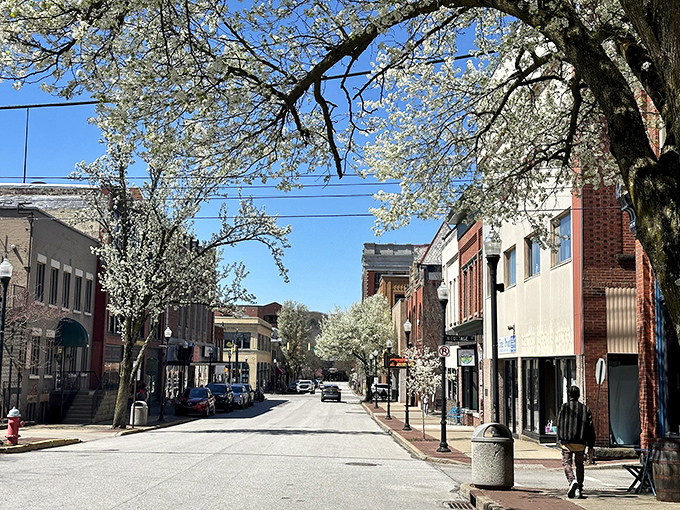 Spring blossoms frame Meadville's affordable downtown district. These flowering trees aren't the only thing blooming here&mdash;your retirement savings will too!