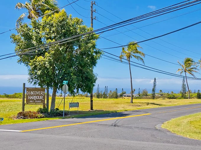 The road stretches toward possibility in Nāʻālehu, where the journey itself becomes the destination worth savoring.