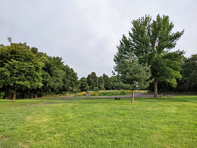 Sunlight filtering through a canopy of leaves, creating nature's own stained-glass effect without having to sit through any sermons.