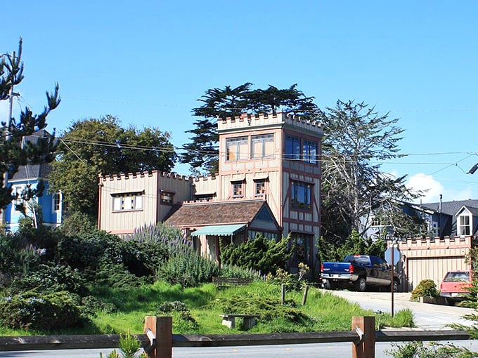 Pacific Grove's Victorian charm and coastal views create the perfect backdrop for monarch butterfly magic and seaside daydreams.