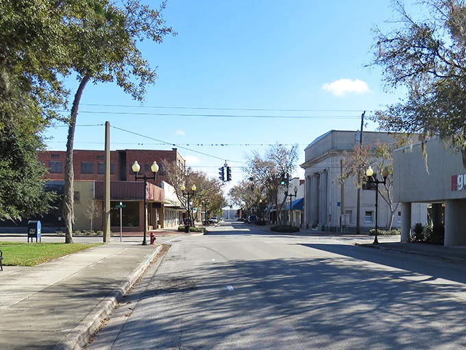 Bright morning sun lights up a quiet, tree-lined downtown street, where historic brick buildings and a classic bank facade stand under a clear blue sky.